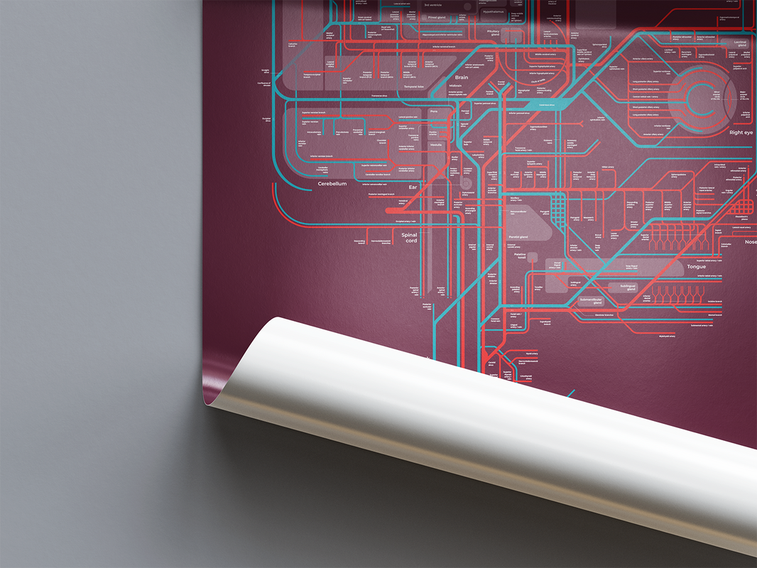 Body Map: Anatomy Simplified - Explore your inner world