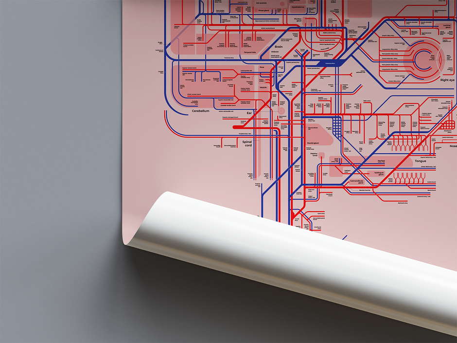 Body Map: Anatomy Simplified - Explore your inner world